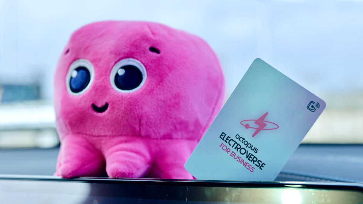 Electroverse | Community